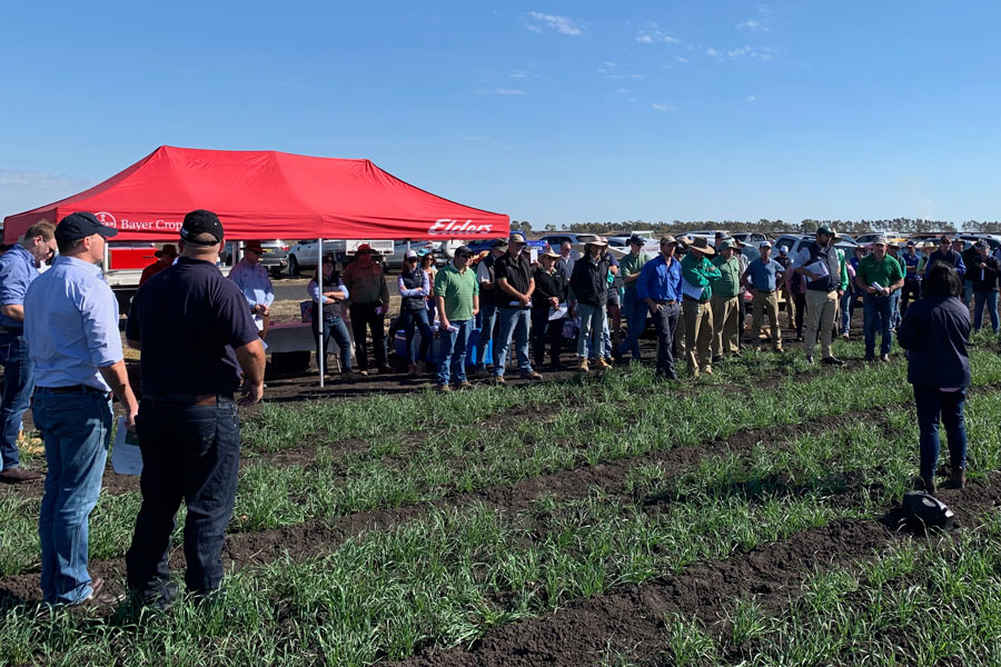 Home | Tosari Crop Research Centre